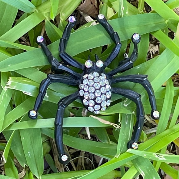 Accessories | Gorgeous Spider Pin | Poshmark